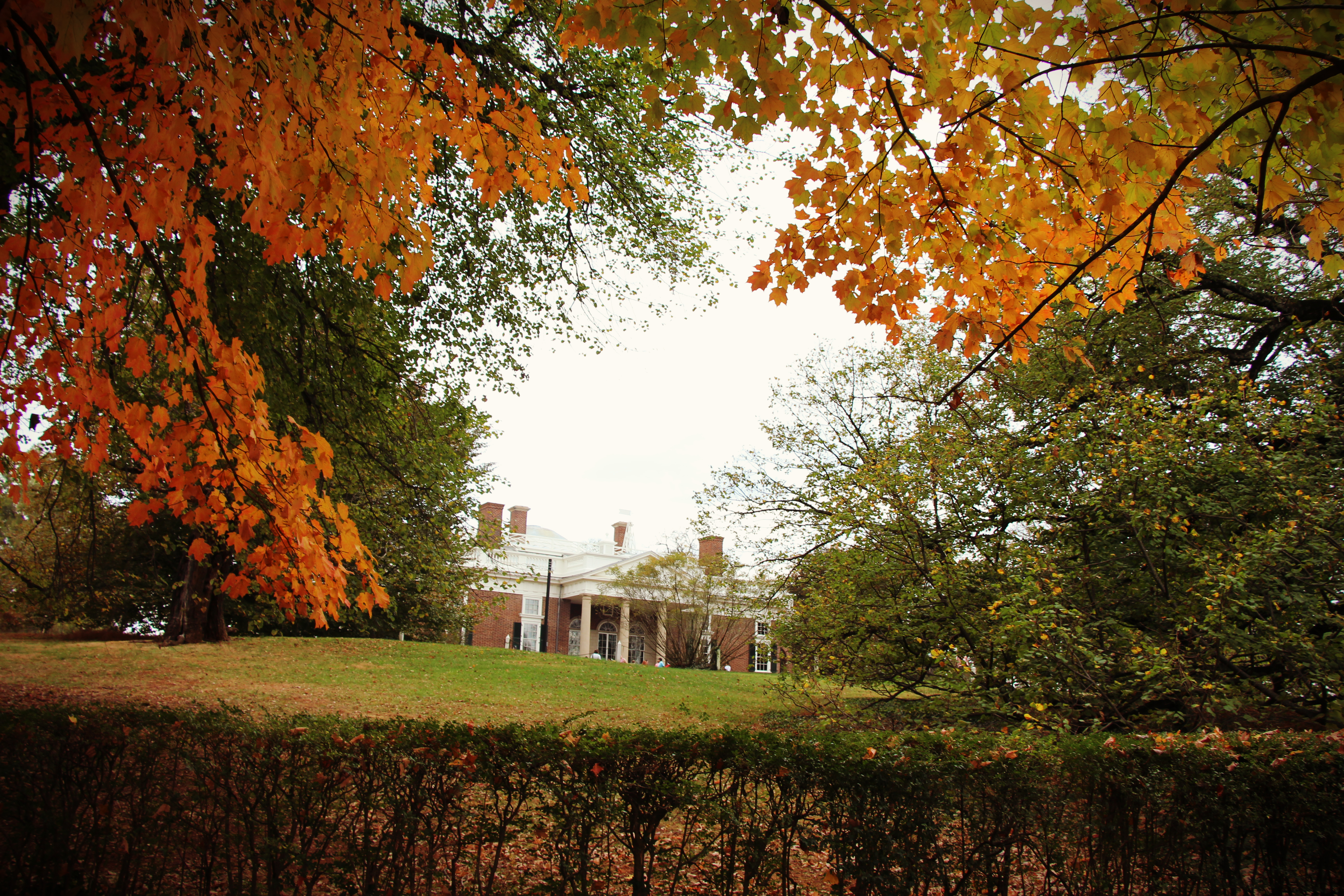 Memories of Monticello – Sleightholm Folk Art